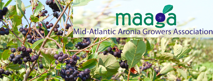 MID ATLANTIC ARONIA GROWERS ASSOCIATION | Growing America's Native ...